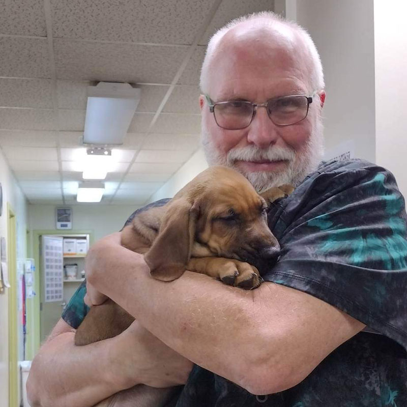 Pet Vaccinations in York County, PA | Community Animal Hospital